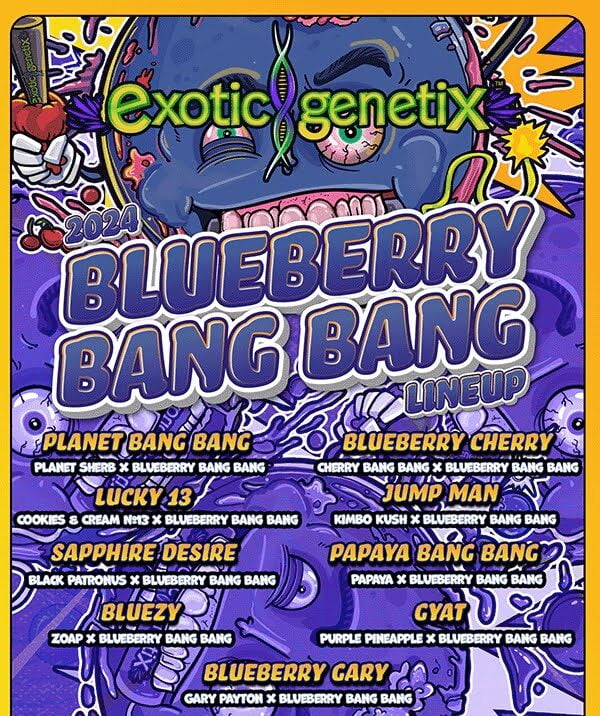 Gyat (F) [Blueberry Bang Bang Drop] – North Atlantic Seed Co.